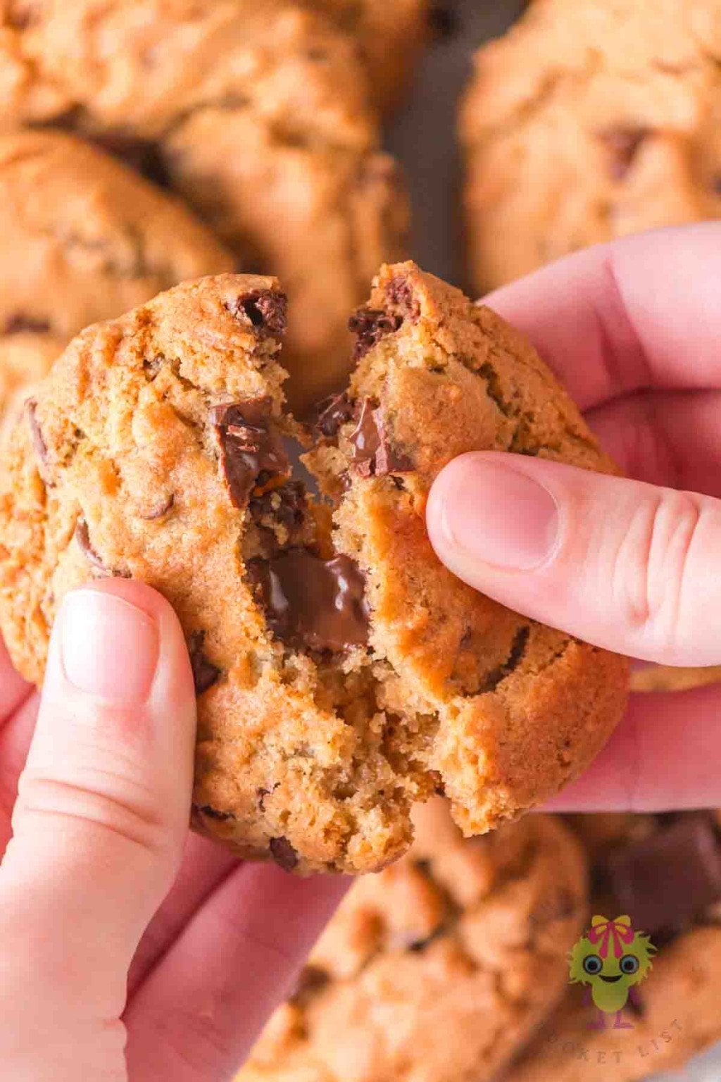 Chocolate chip cinnamon cookies - The Kitchen Bucket List